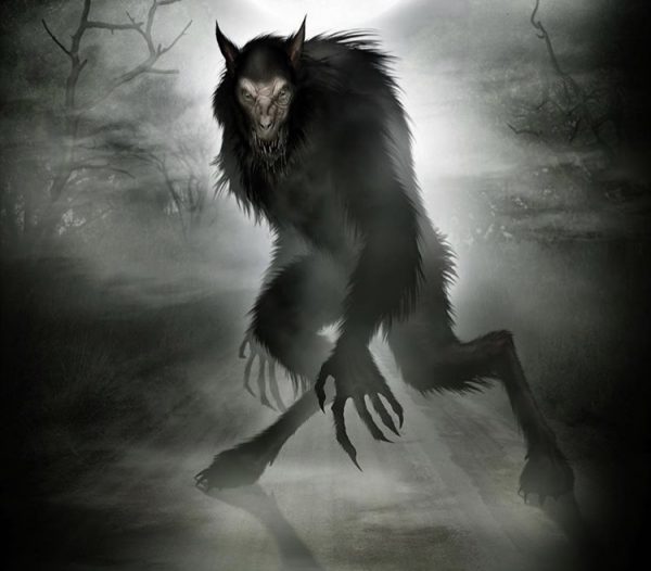 iTF 181: Far Too Close: A Wisconsin Dogman Story - Into The Fray Radio