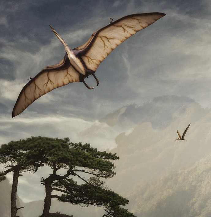iTF 452: Pterosaurs: The Demon Flyers - Into The Fray Radio